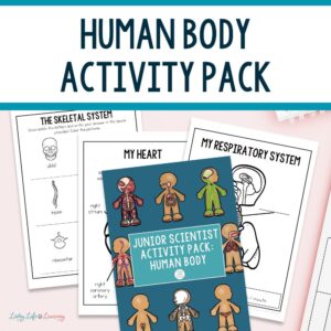 Printable Body Systems Coloring Pages for Learning Fun