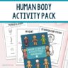 Build a Skeleton Printable with Engaging Activities
