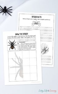 Spider Worksheets for First Graders: Fun Activities Included