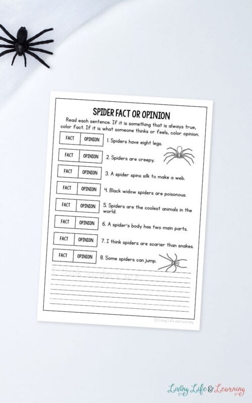 Spider Worksheets for First Graders: Fun Activities Included