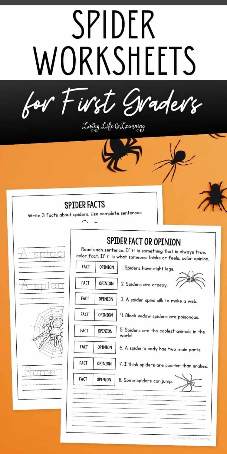 Spider Worksheets for First Graders: Fun Activities Included