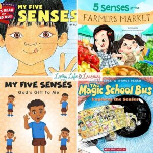 5 Senses Books for Preschool Essential Reads