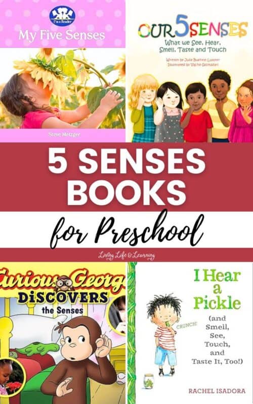 5 Senses Books for Preschool Essential Reads