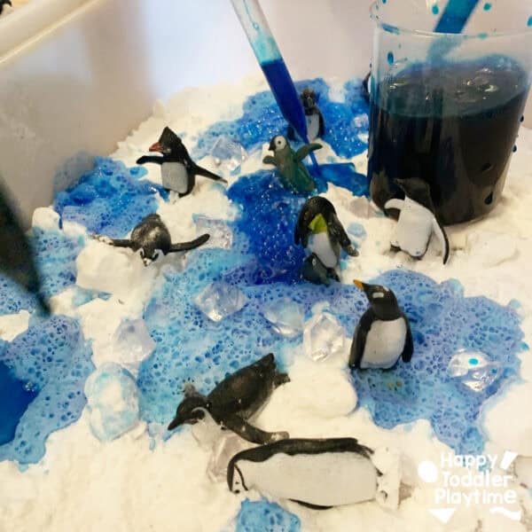 Penguin Science Experiments: Fun Activities to Explore Adaptation
