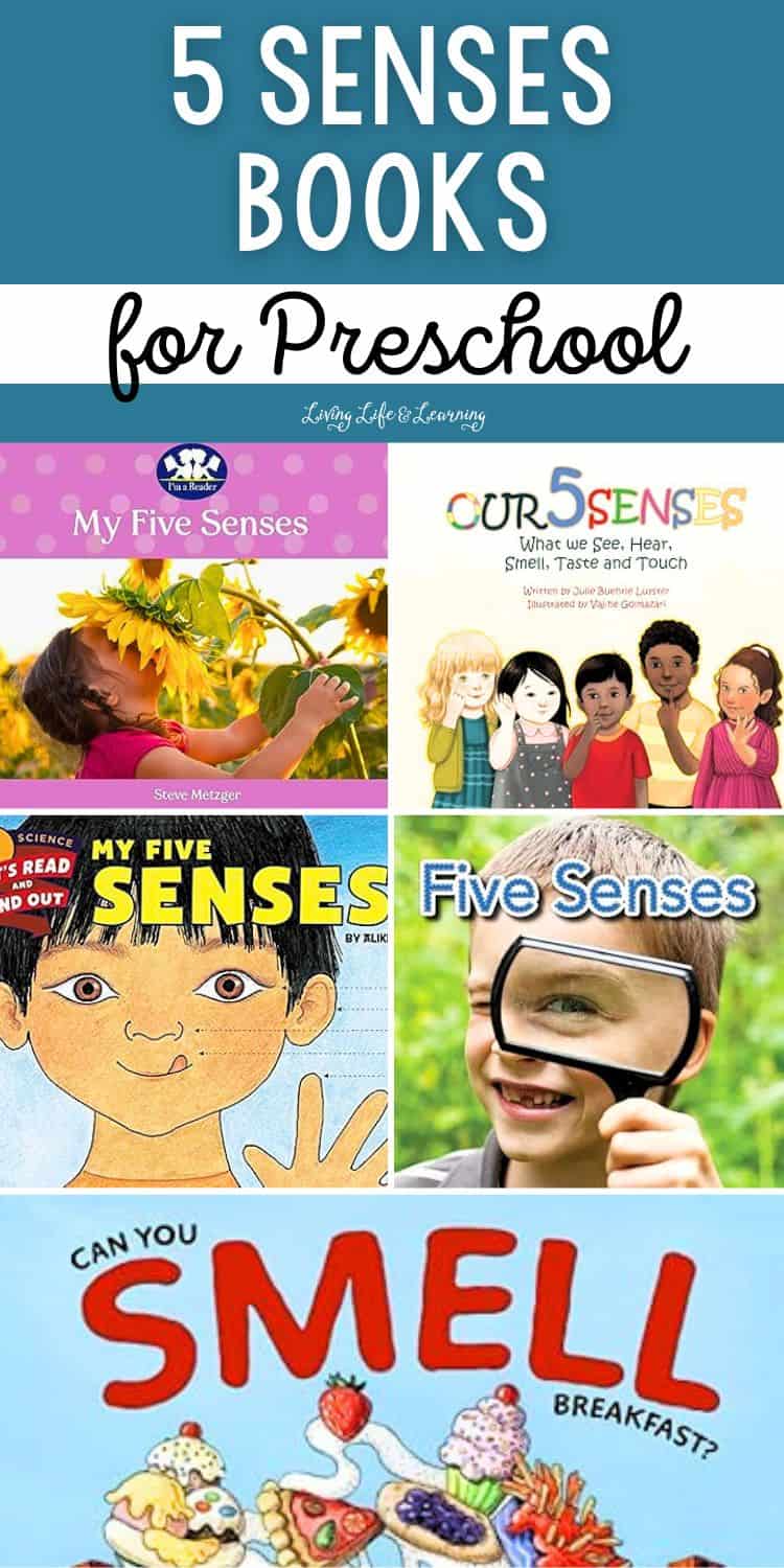 5 Senses Books for Preschool Essential Reads