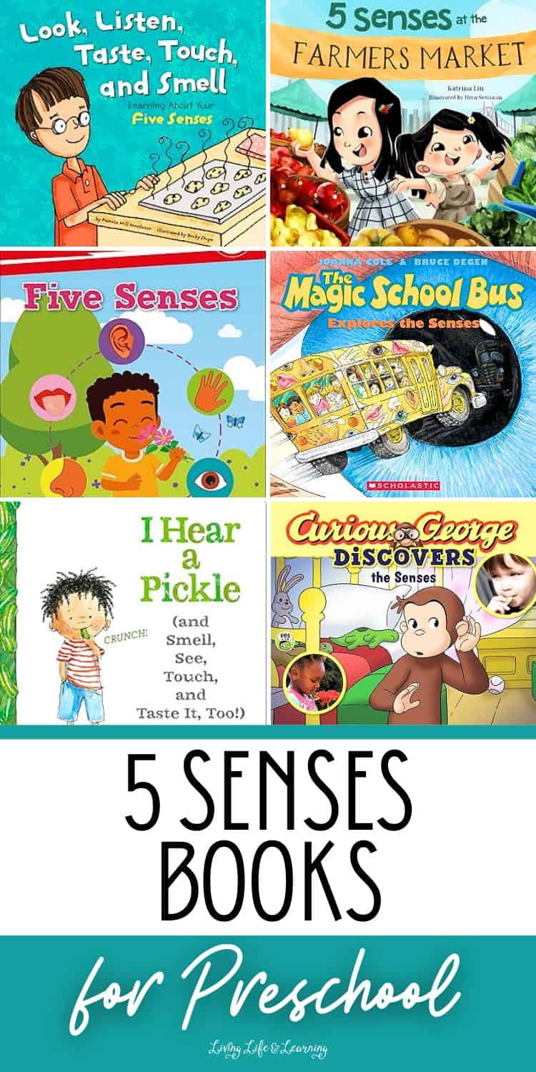 5 Senses Books for Preschool Essential Reads