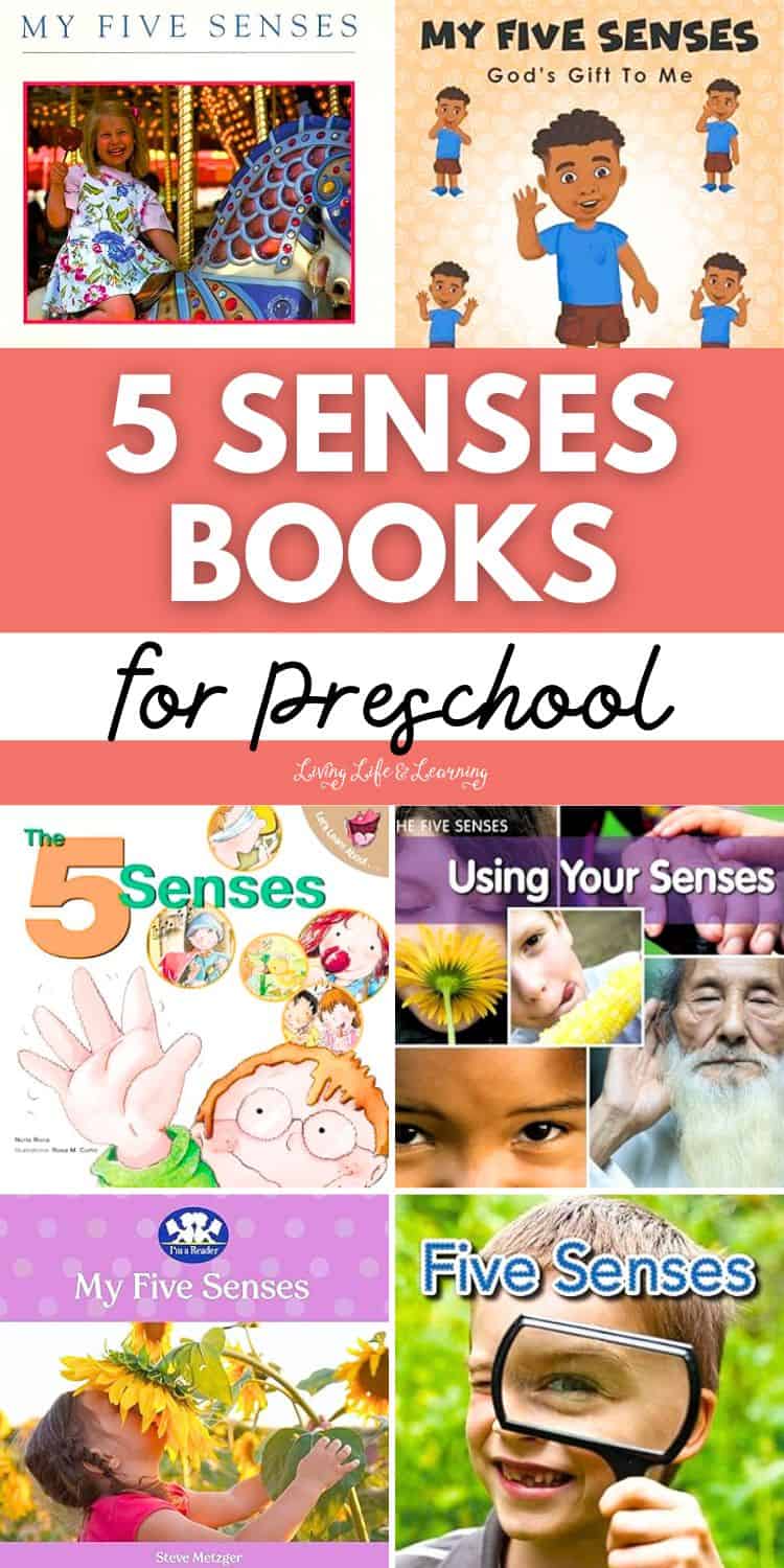5 Senses Books for Preschool Essential Reads