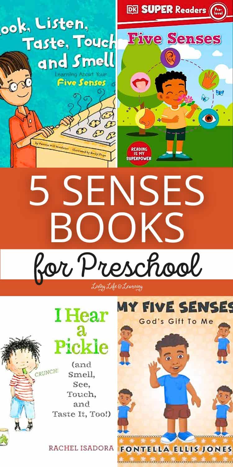 5 Senses Books for Preschool Essential Reads