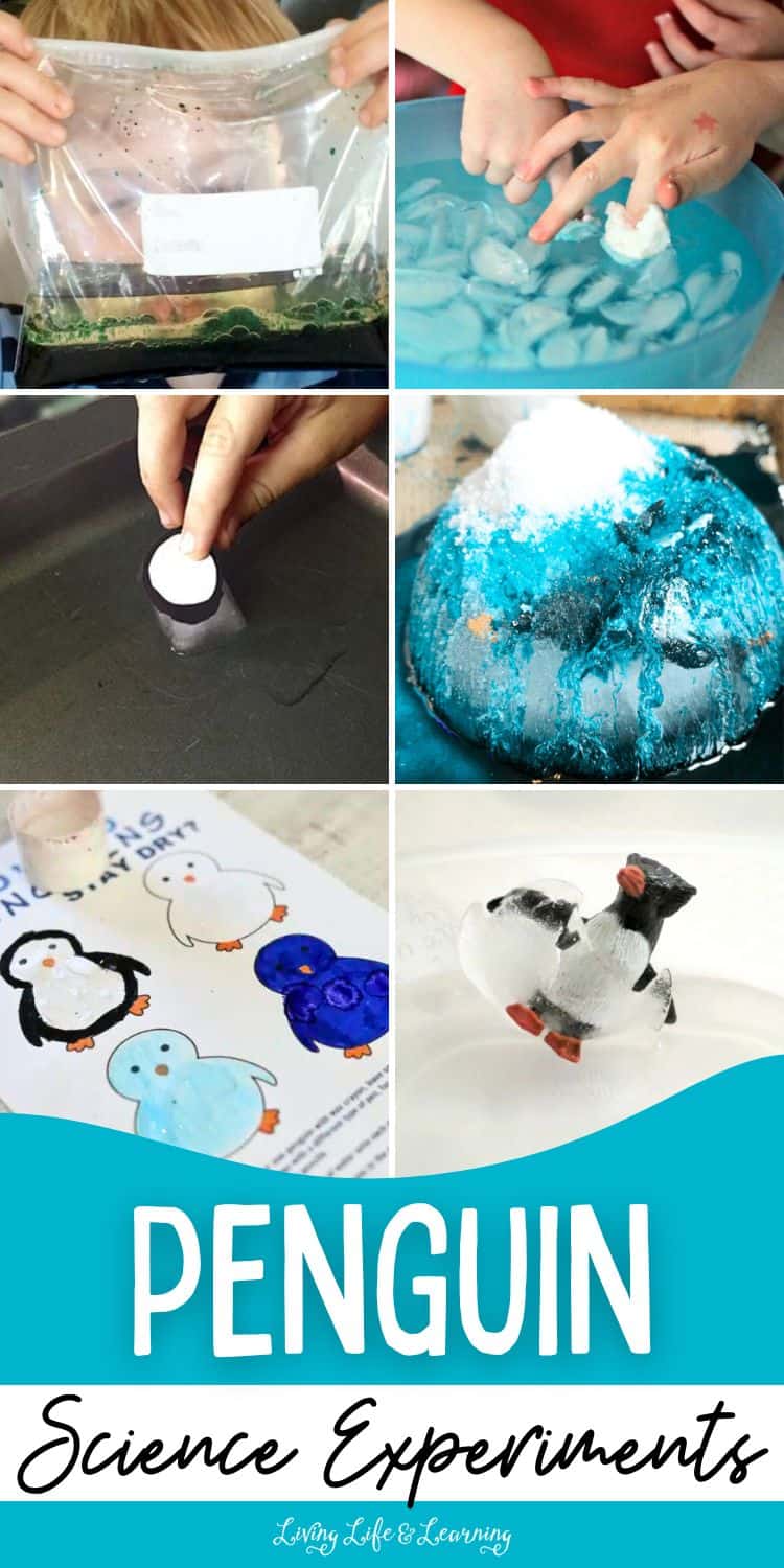 Penguin Science Experiments: Fun Activities to Explore Adaptation