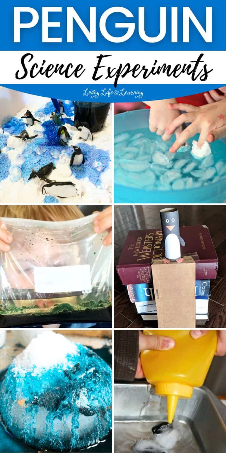 Penguin Science Experiments: Fun Activities to Explore Adaptation