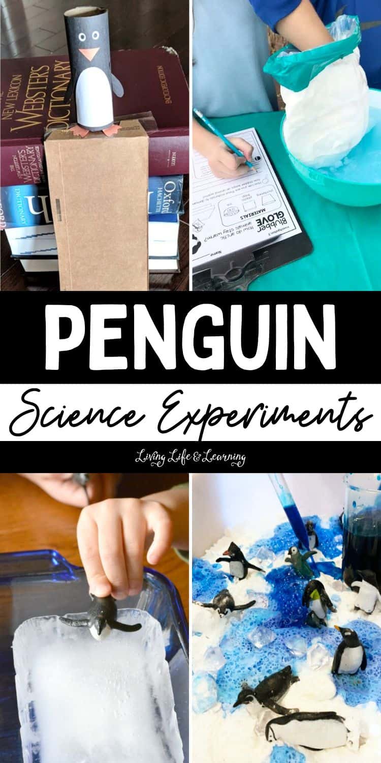 Penguin Science Experiments: Fun Activities to Explore Adaptation