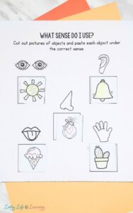 Five Senses Cut and Paste Worksheets for Learning