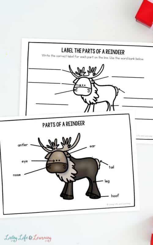 Reindeer Worksheets for Kids: Holiday Fun Activities