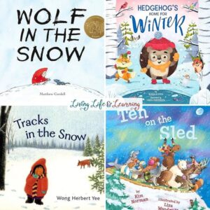 Fun Winter Animal Books for Preschoolers