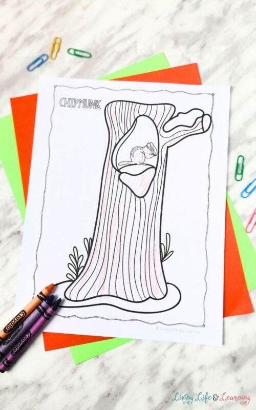 Winter Animal Coloring Pages with Educational Themes