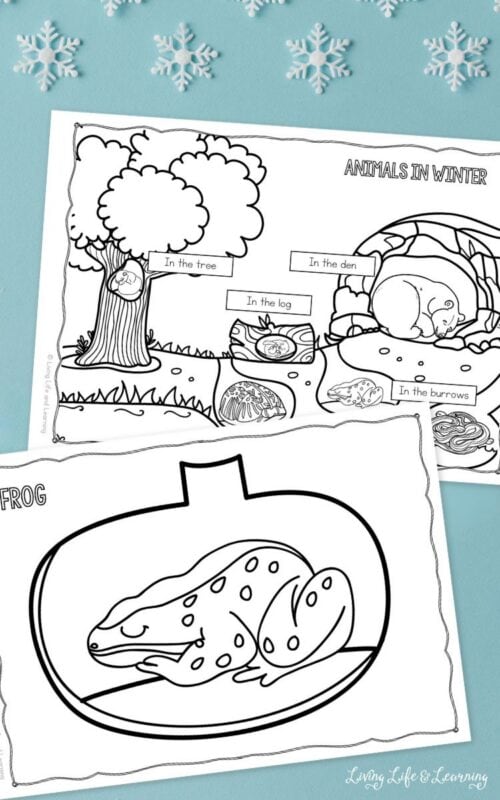 Winter Animal Coloring Pages with Educational Themes