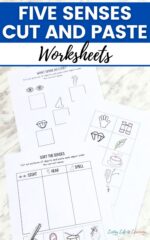 Five Senses Cut and Paste Worksheets for Learning