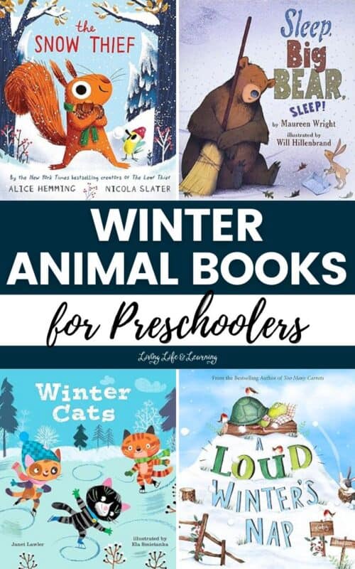 Fun Winter Animal Books for Preschoolers