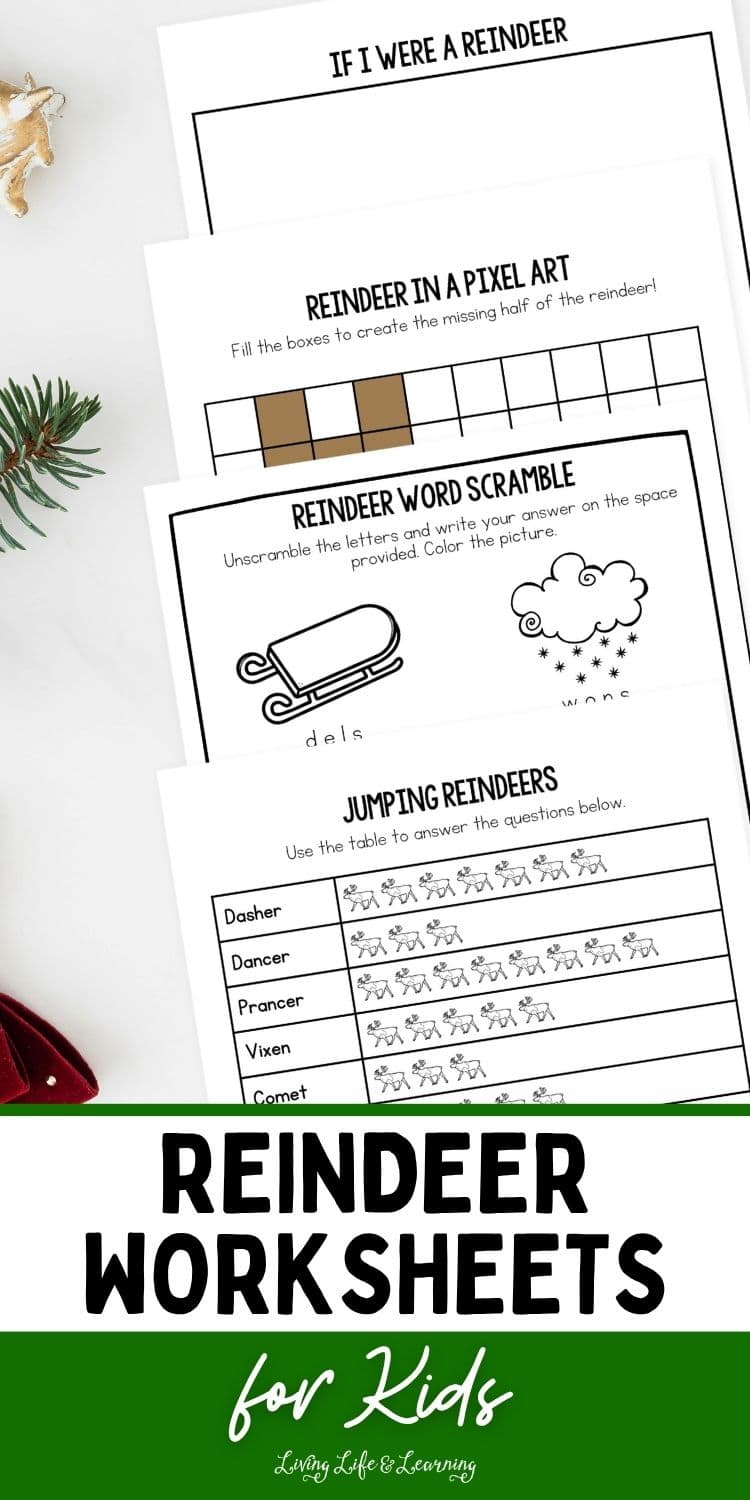 Reindeer Worksheets for Kids: Holiday Fun Activities