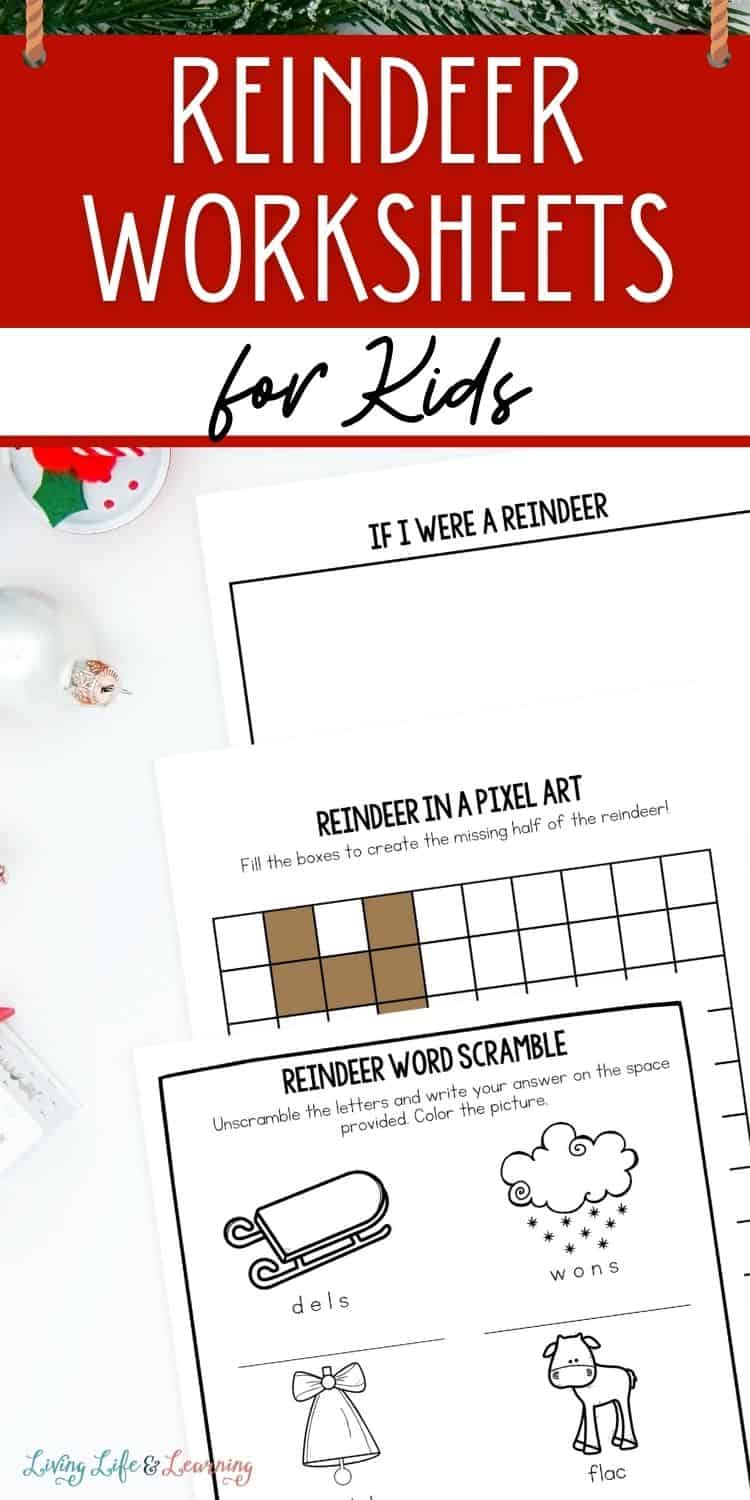 Reindeer Worksheets for Kids: Holiday Fun Activities