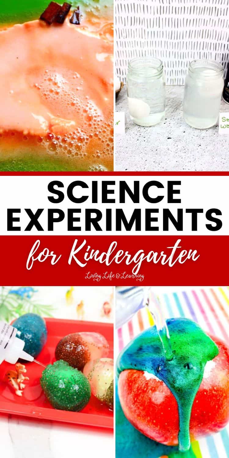 Science Experiments For Kindergarten: Learning Made Fun