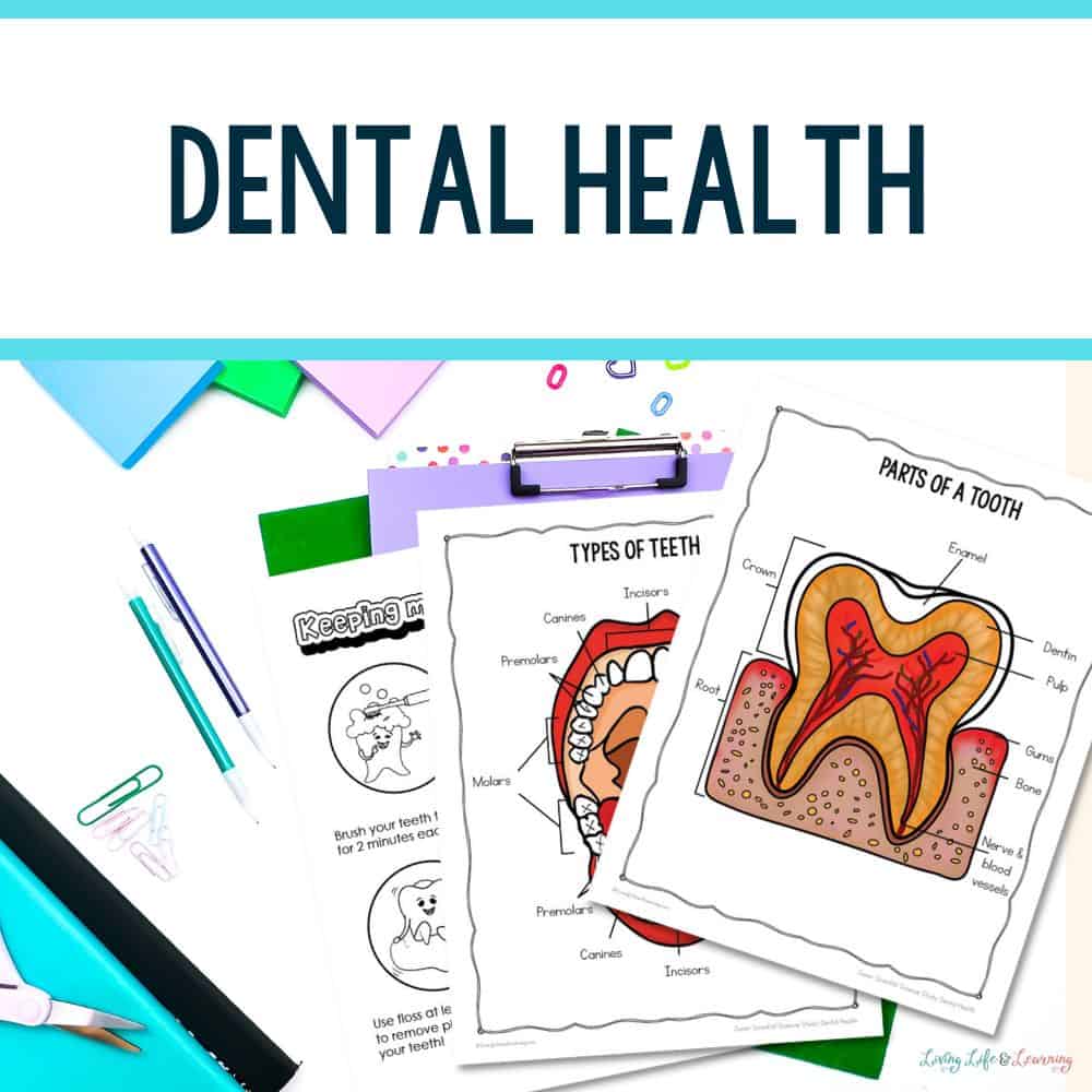 Dental Activity Sheets to Teach Hygiene Easily
