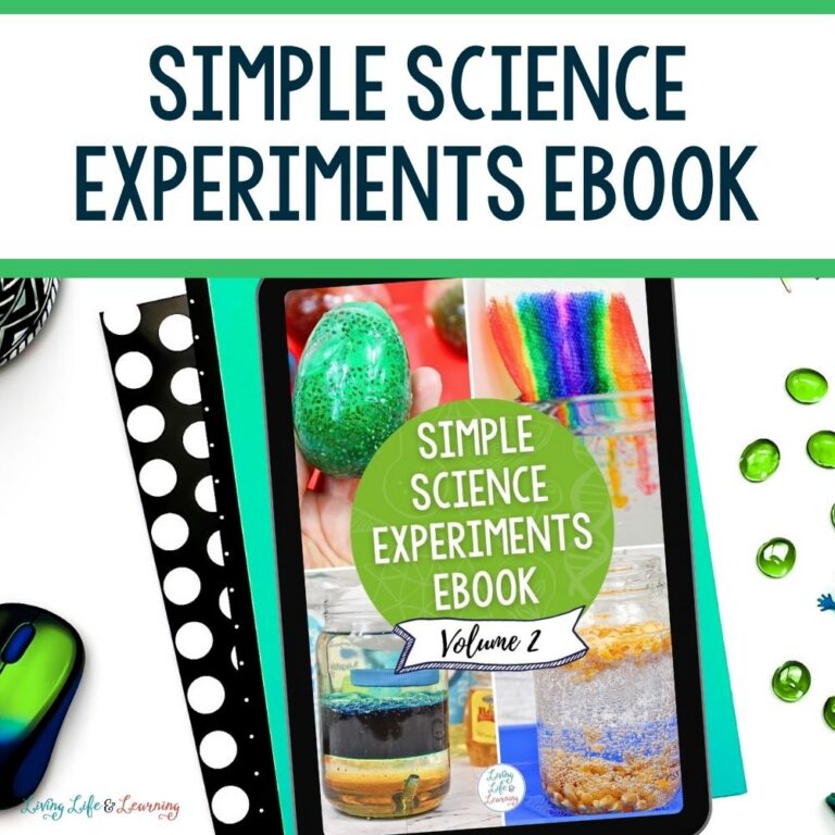 Magic Milk Experiment: Simple Science Trick
