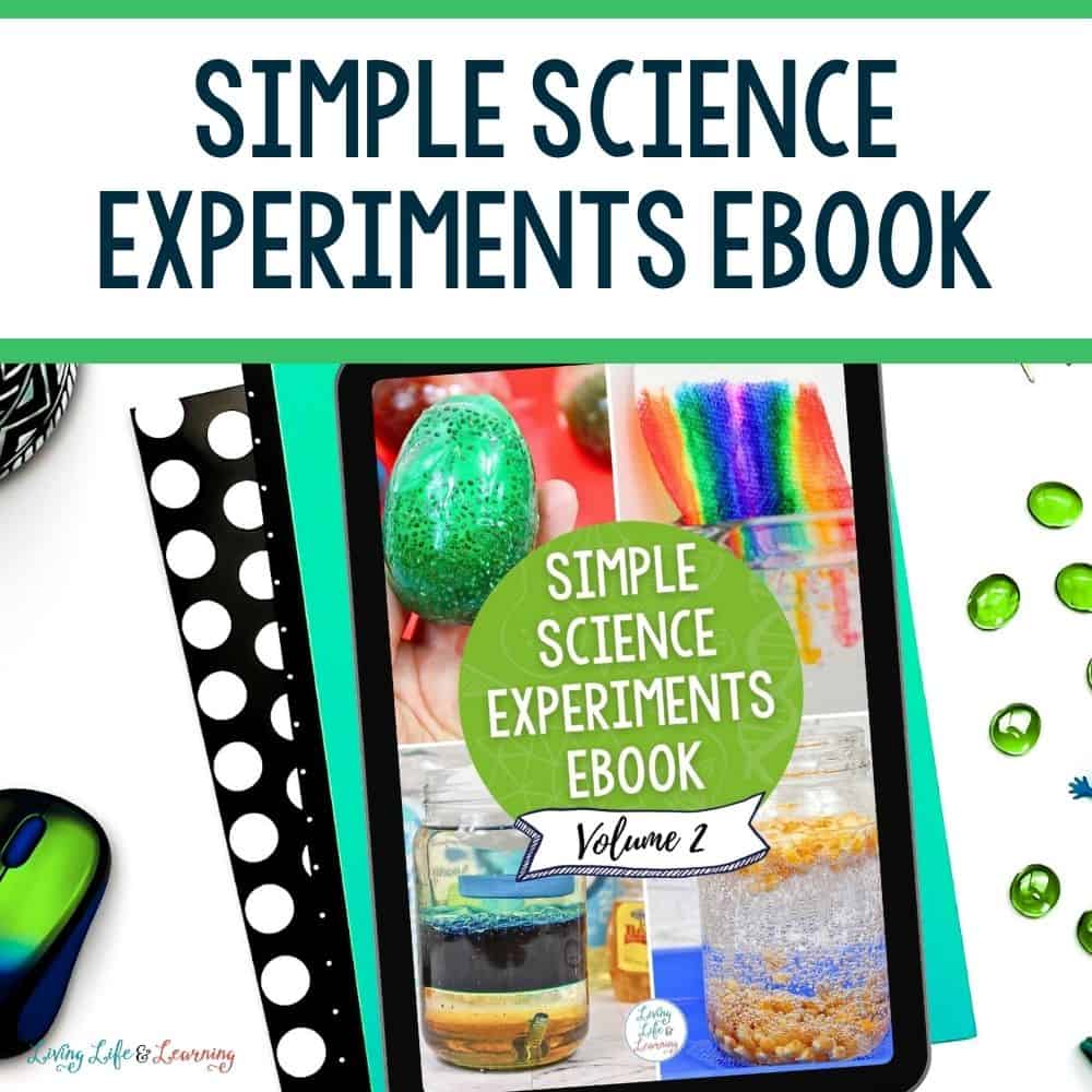 Magic Milk Experiment: Simple Science Trick