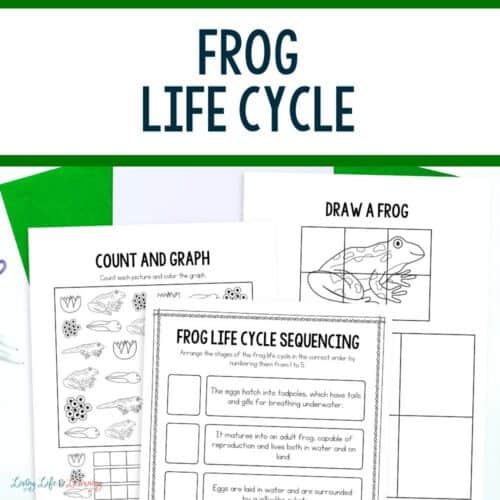 Frog Anatomy Worksheets for Kids: Discover Frog Science