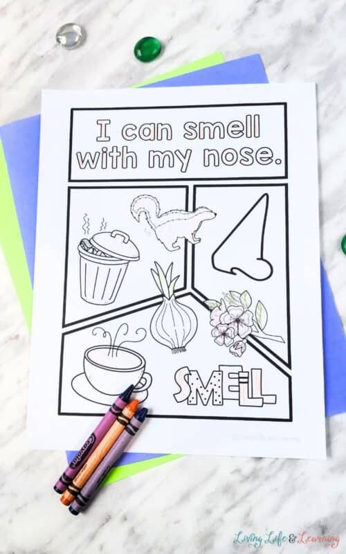 5 Senses Coloring Pages for Kids: Engaging Tools