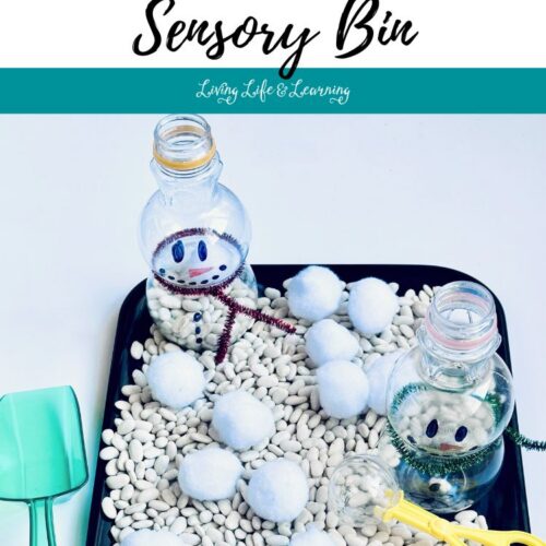 Fun Snowman Sensory Bin for Winter Learning