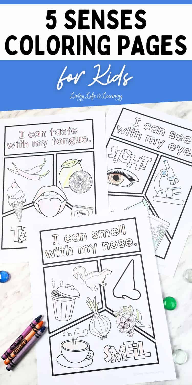 5 Senses Coloring Pages for Kids: Engaging Tools