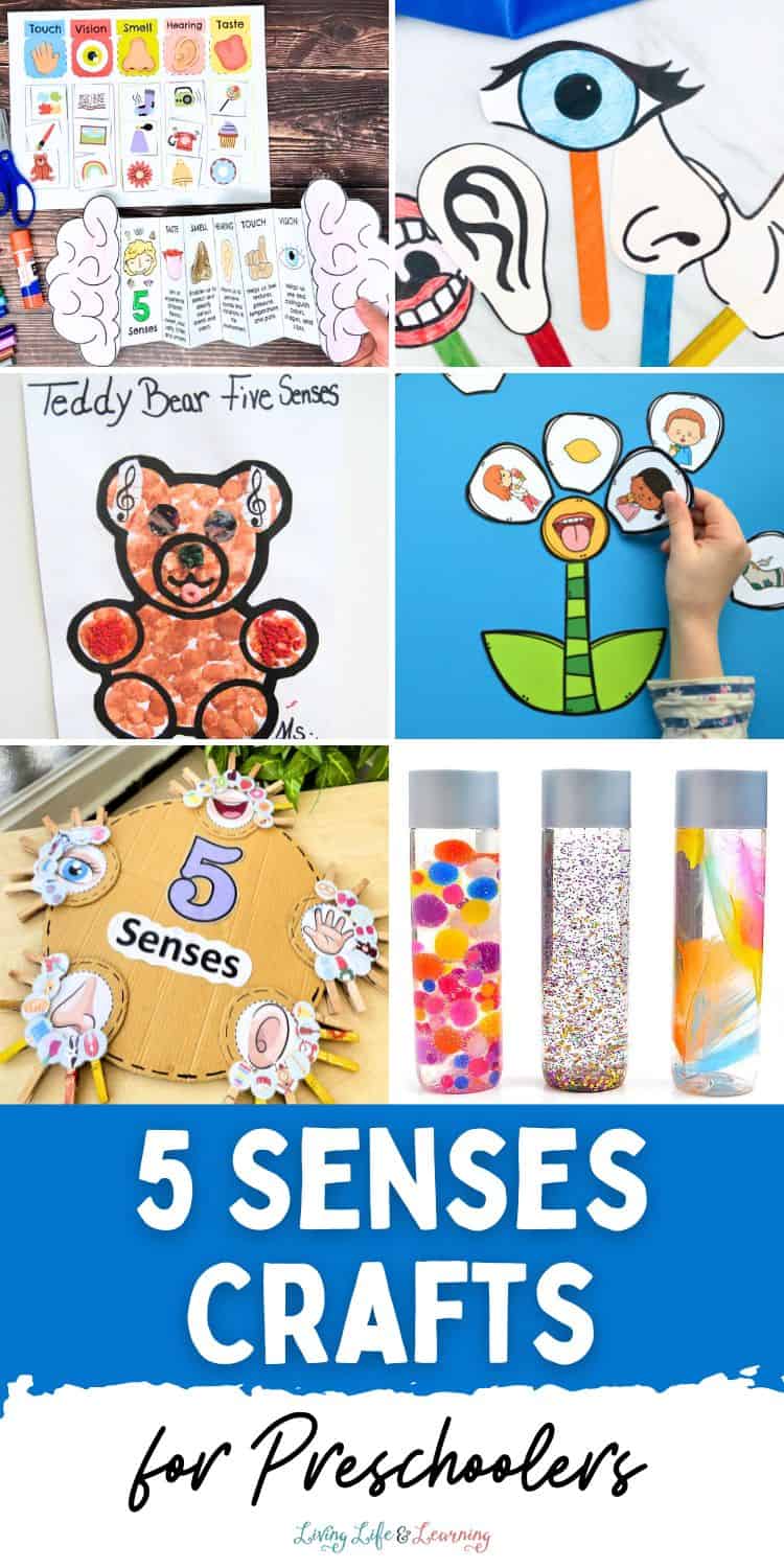 5 Senses Crafts for Preschoolers: Fun and Hands-on Learning