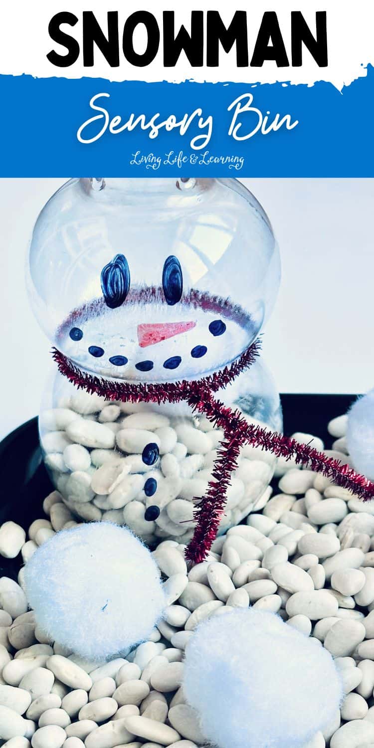 Fun Snowman Sensory Bin for Winter Learning