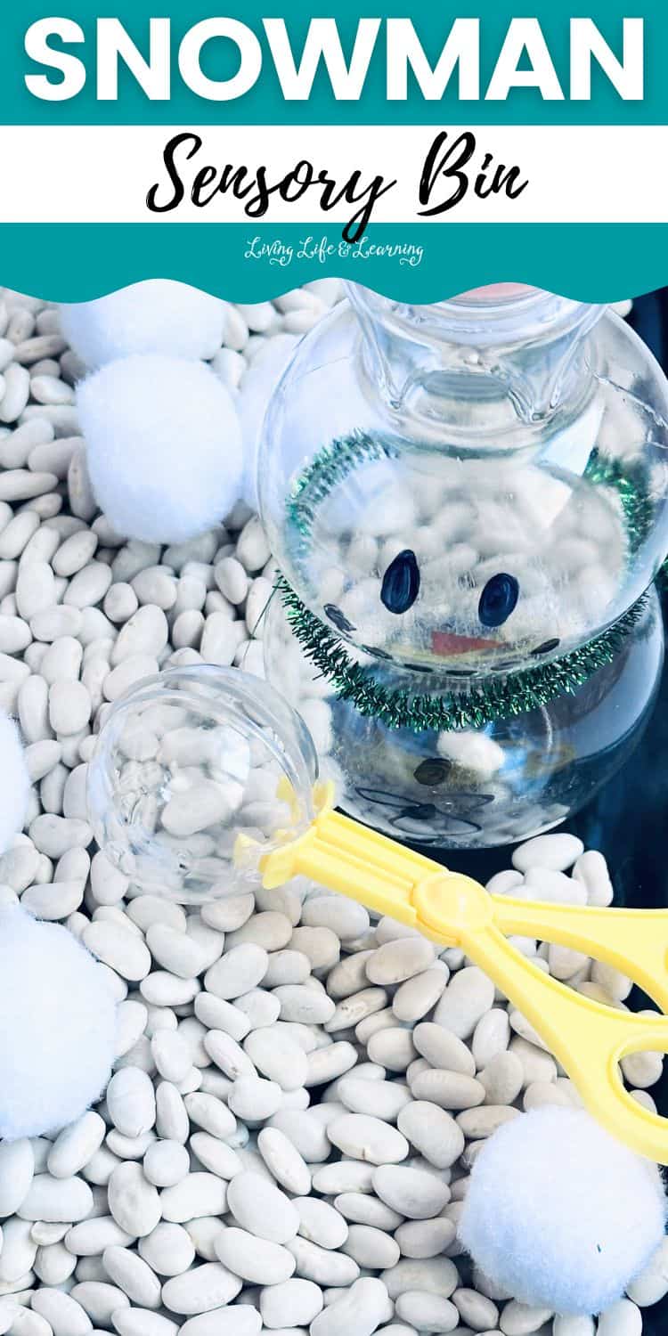 Fun Snowman Sensory Bin for Winter Learning