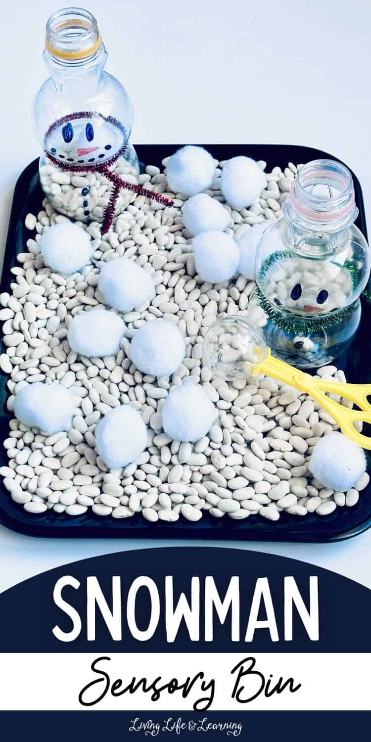 Fun Snowman Sensory Bin for Winter Learning