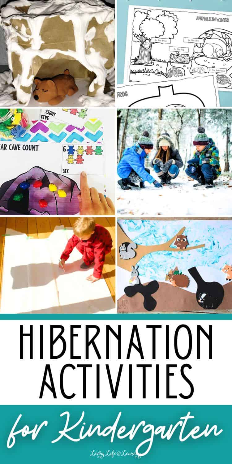 Hibernation Activities for Kindergarten to Enjoy This Winter Season