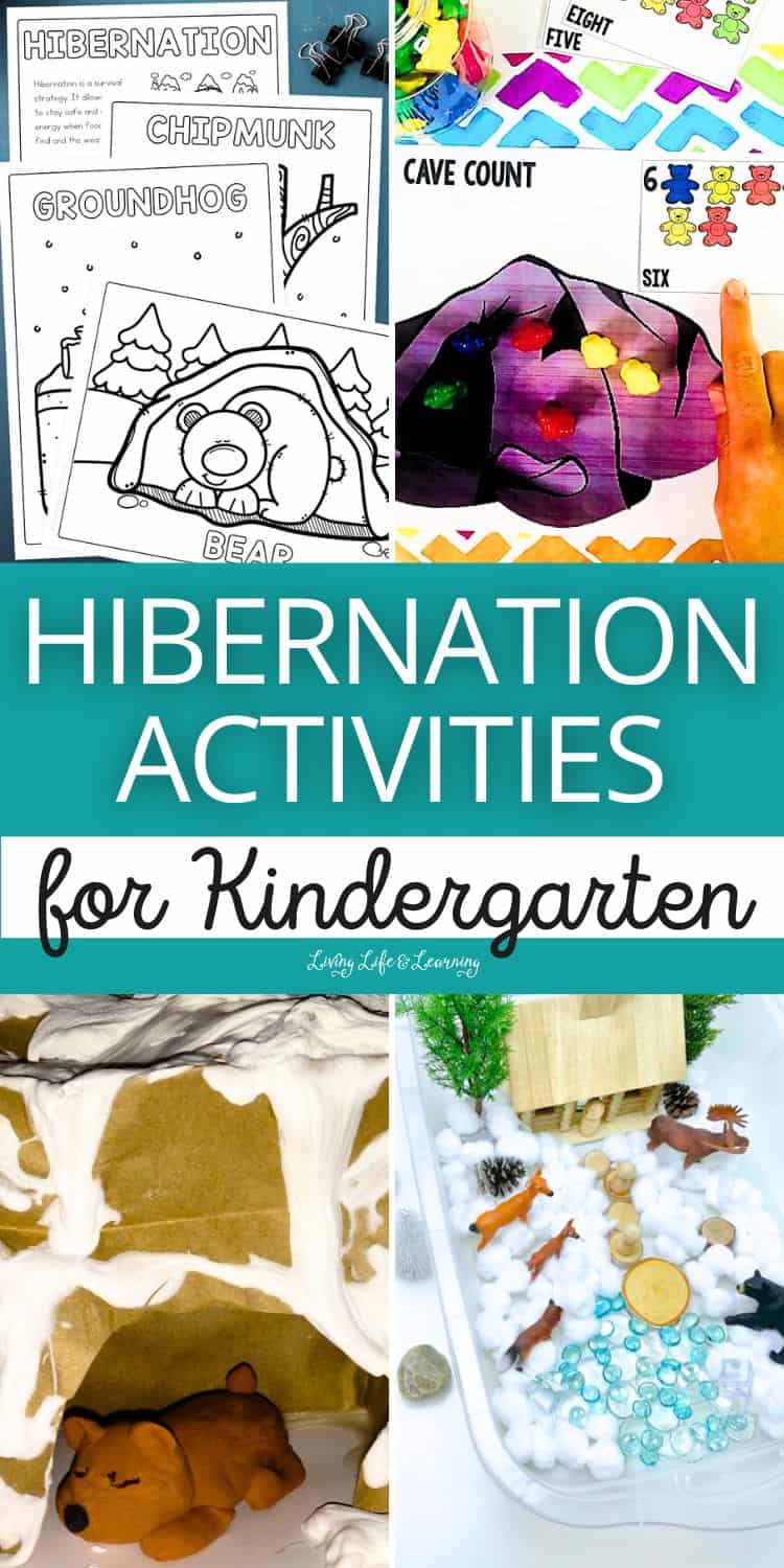 Hibernation Activities for Kindergarten to Enjoy This Winter Season