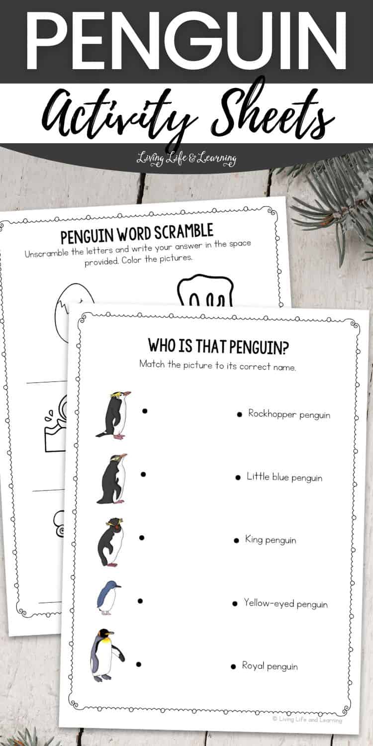 Penguin Activity Sheets to Enhance Kids' Education