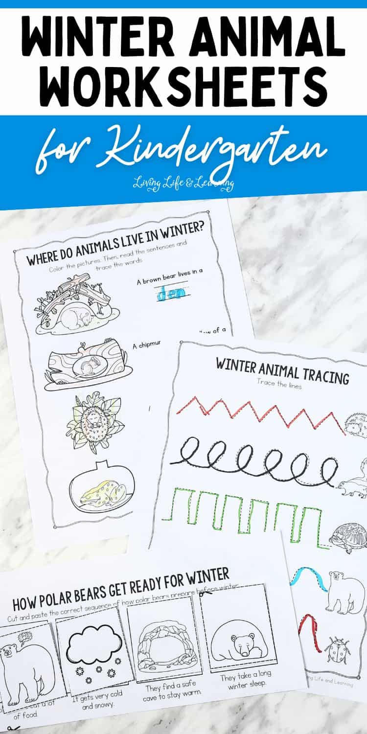 Winter Animal Worksheets for Kindergarten Printable Set