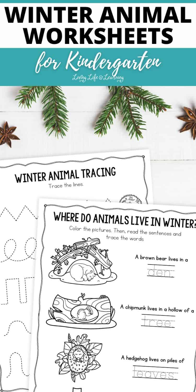 Winter Animal Worksheets for Kindergarten Printable Set