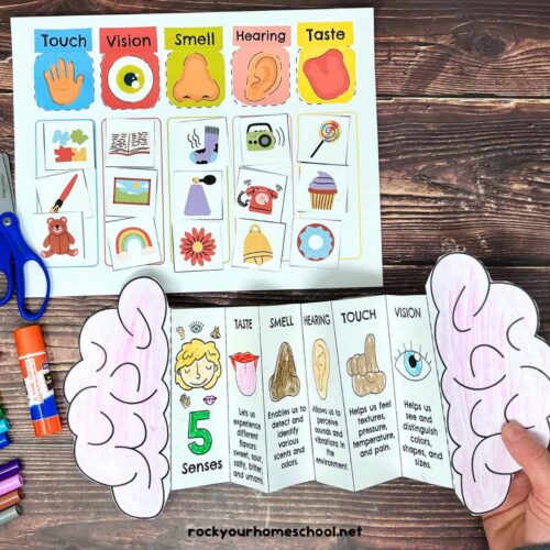 5 Senses Crafts for Preschoolers: Fun and Hands-on Learning