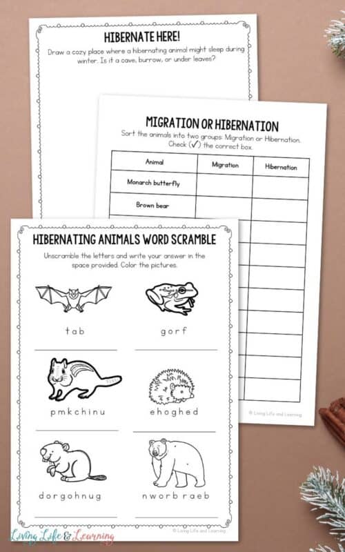 Hibernation and Migration Worksheets for Winter Science