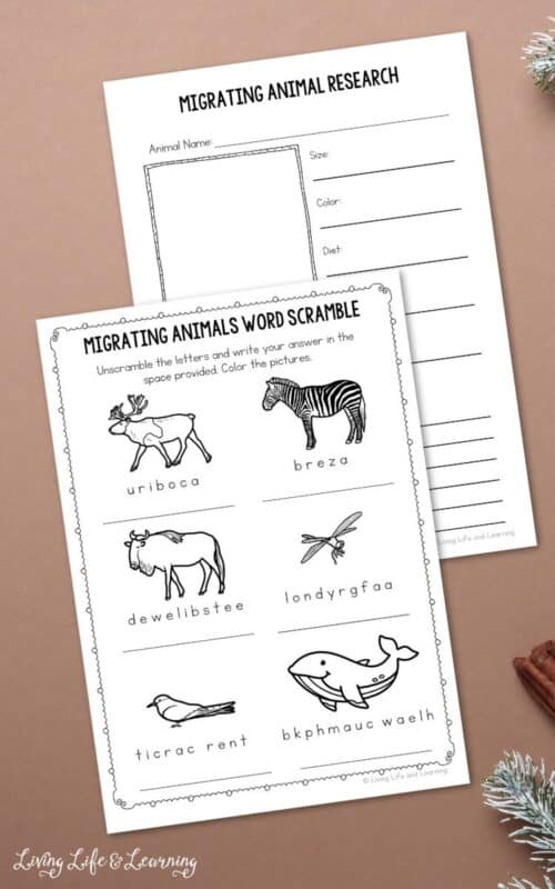 Hibernation and Migration Worksheets for Winter Science
