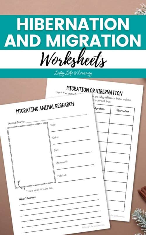 Hibernation and Migration Worksheets for Winter Science