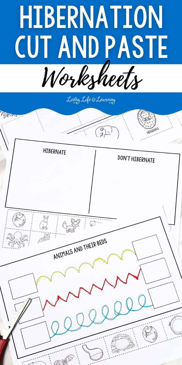 Hibernation Cut and Paste Worksheets for Winter Fun