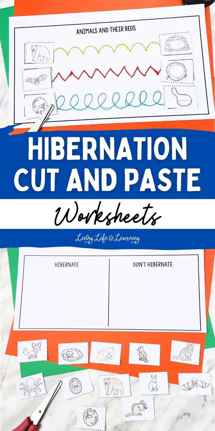 Hibernation Cut and Paste Worksheets for Winter Fun