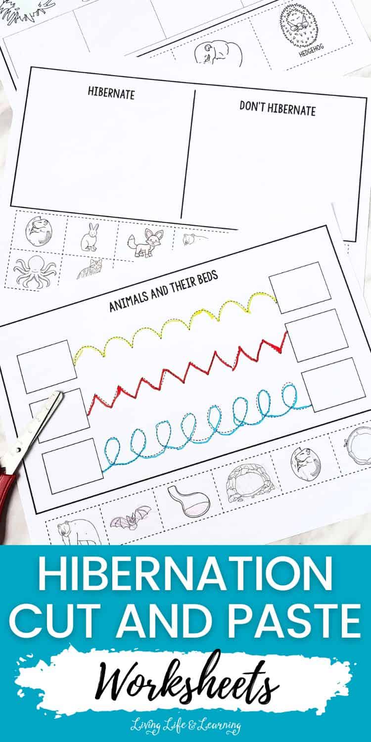 Hibernation Cut and Paste Worksheets for Winter Fun