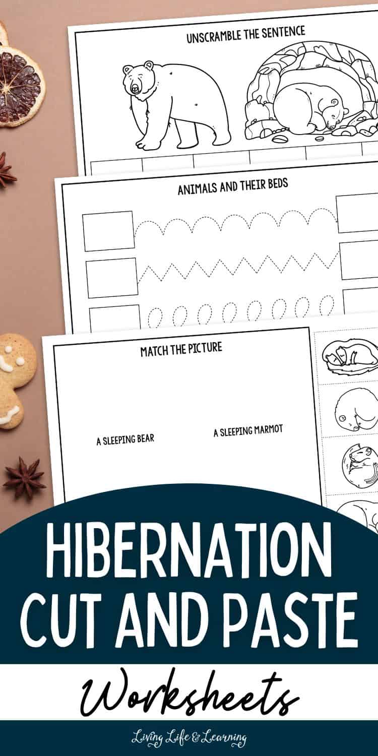 Hibernation Cut and Paste Worksheets for Winter Fun