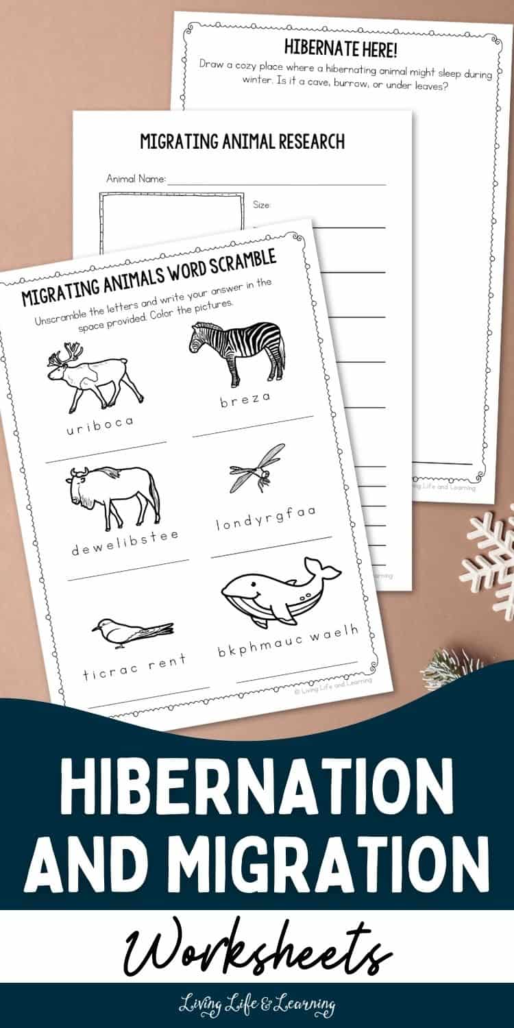 Hibernation and Migration Worksheets for Winter Science